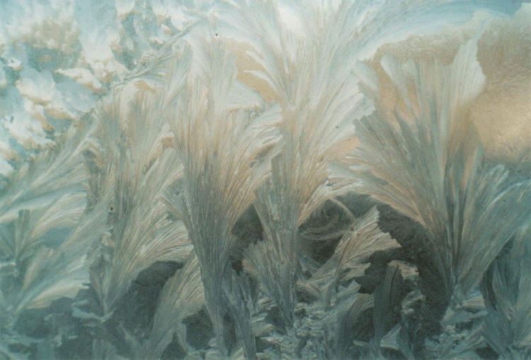 Artist 2019: Brian Fox - Stagecoach Run Art Festival