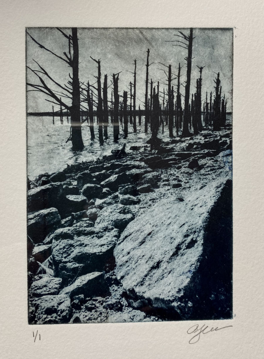 Barbara Luhmann - Stagecoach Run Art Festival