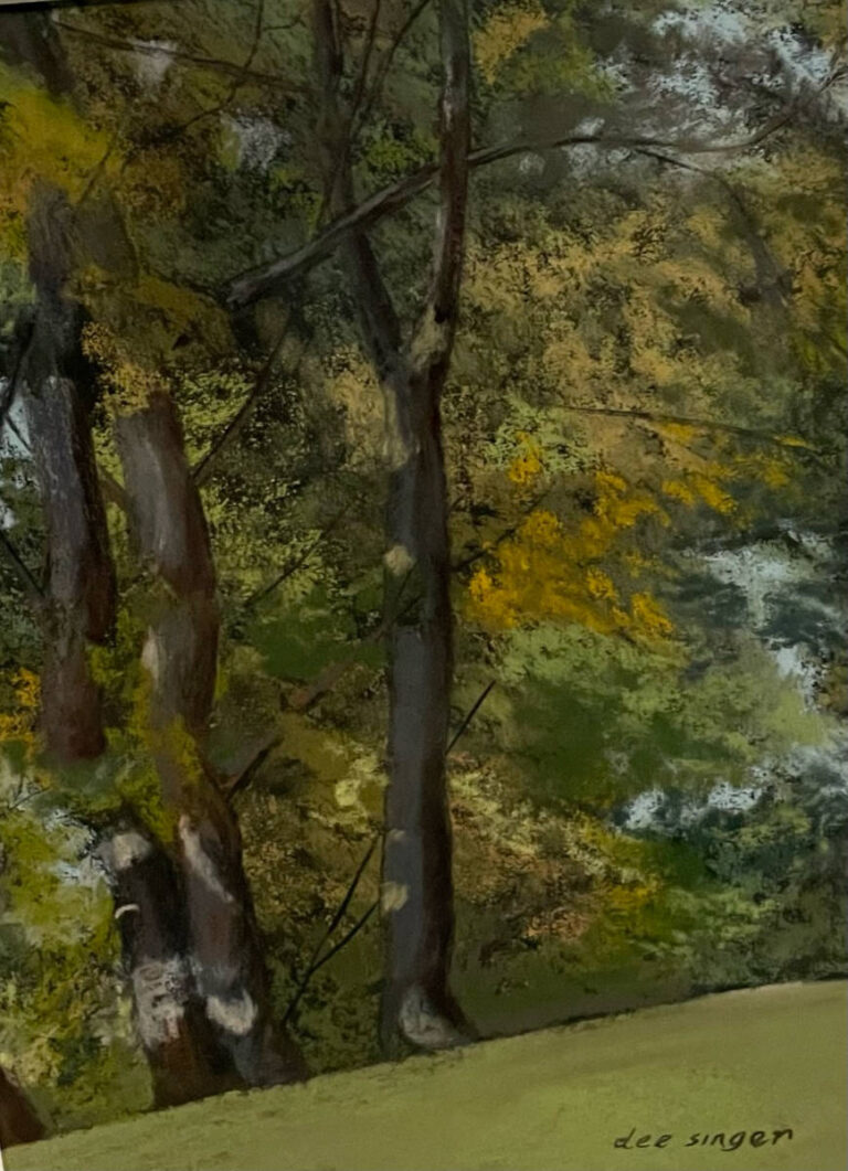 Dee Singer - Stagecoach Run Art Festival