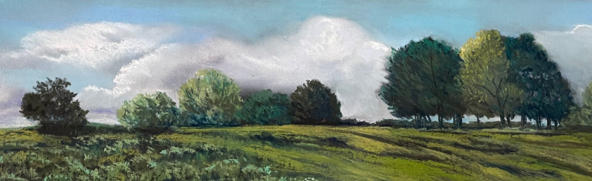 Dee Singer - Stagecoach Run Art Festival