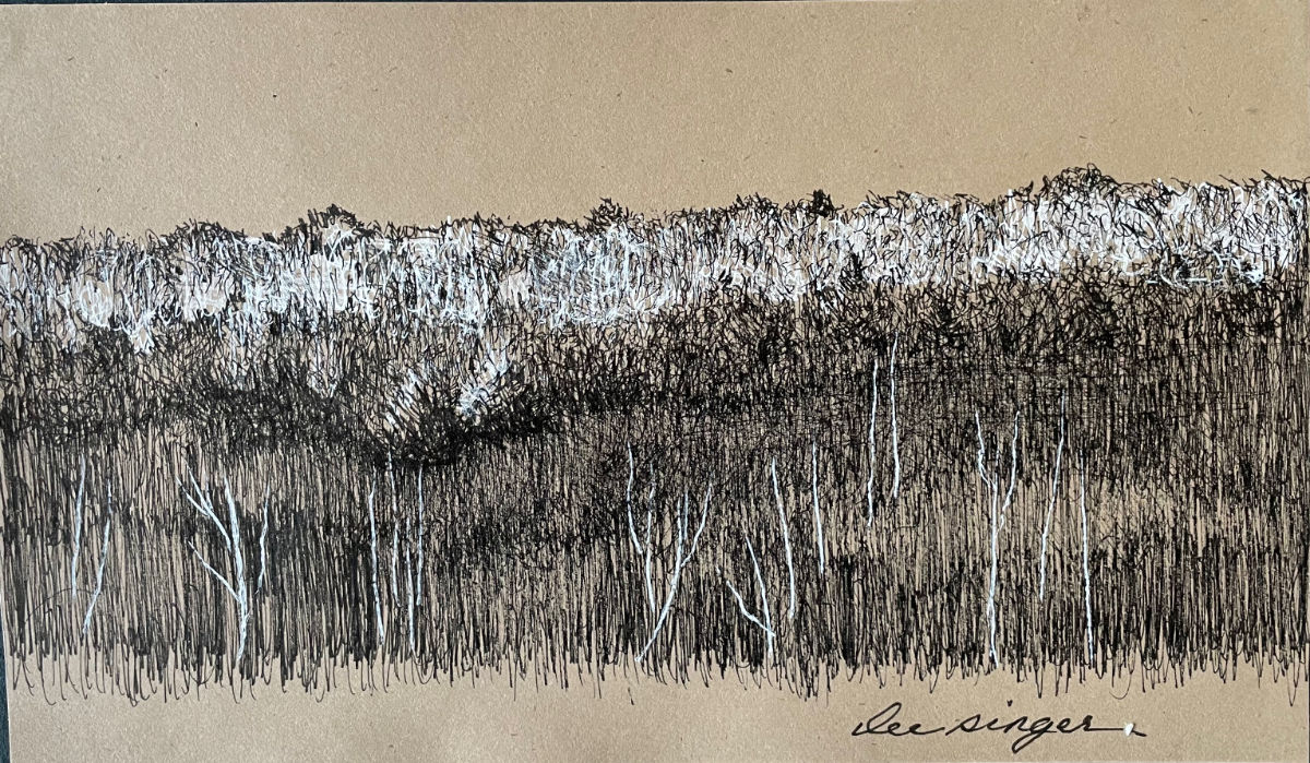 Dee Singer - Stagecoach Run Art Festival